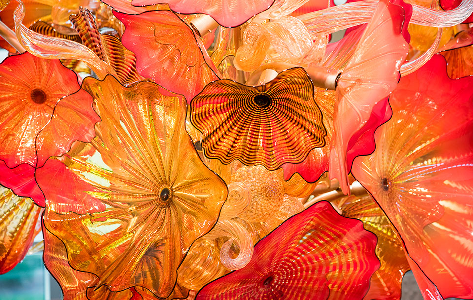 GLASS GRACE - Santa Clara Magazine