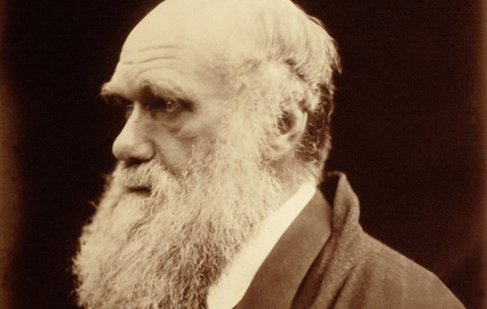 Lost Record - Santa Clara Magazine