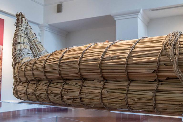 Tule Magnificent - Santa Clara Magazine