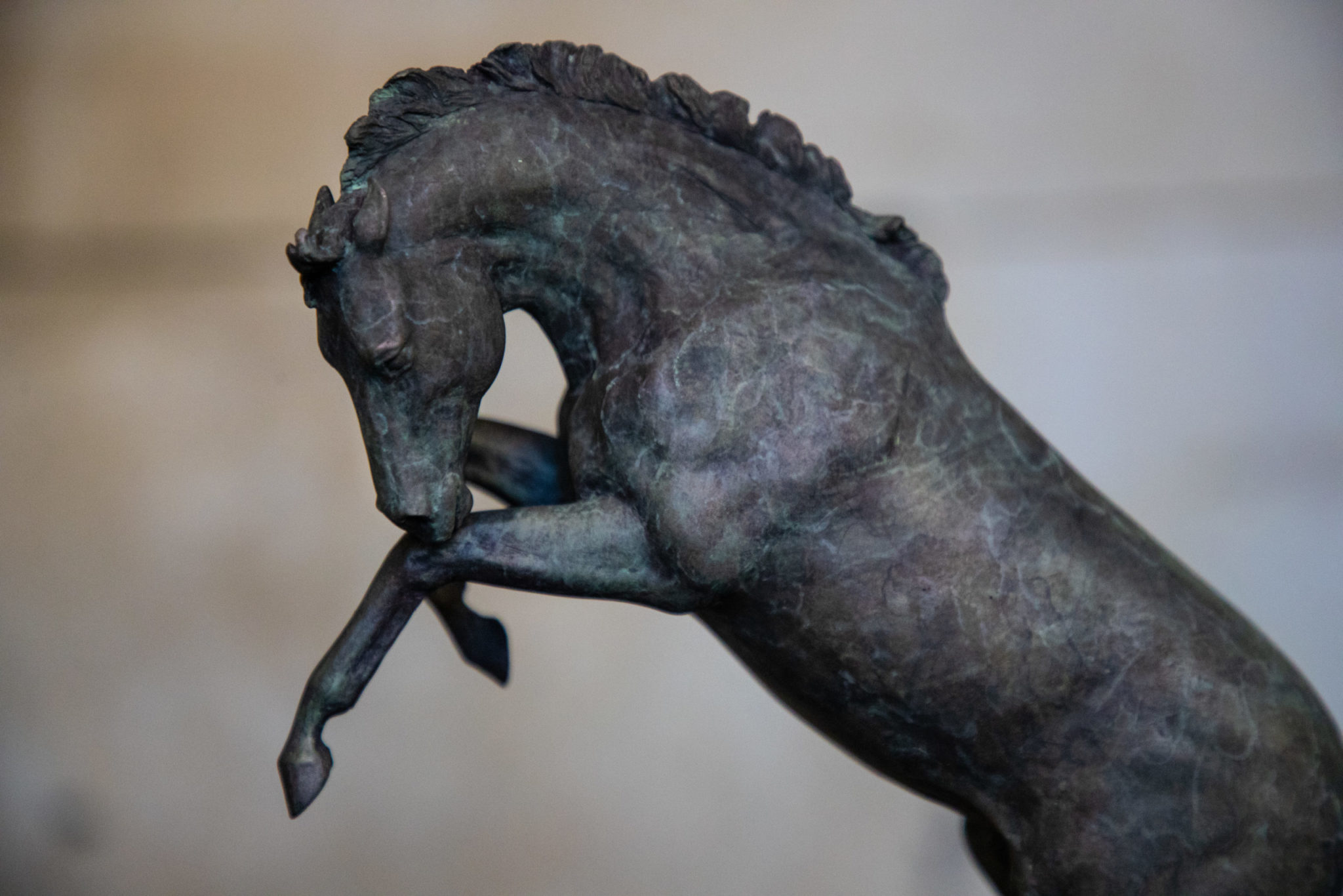 Bronze Beauty - Santa Clara Magazine